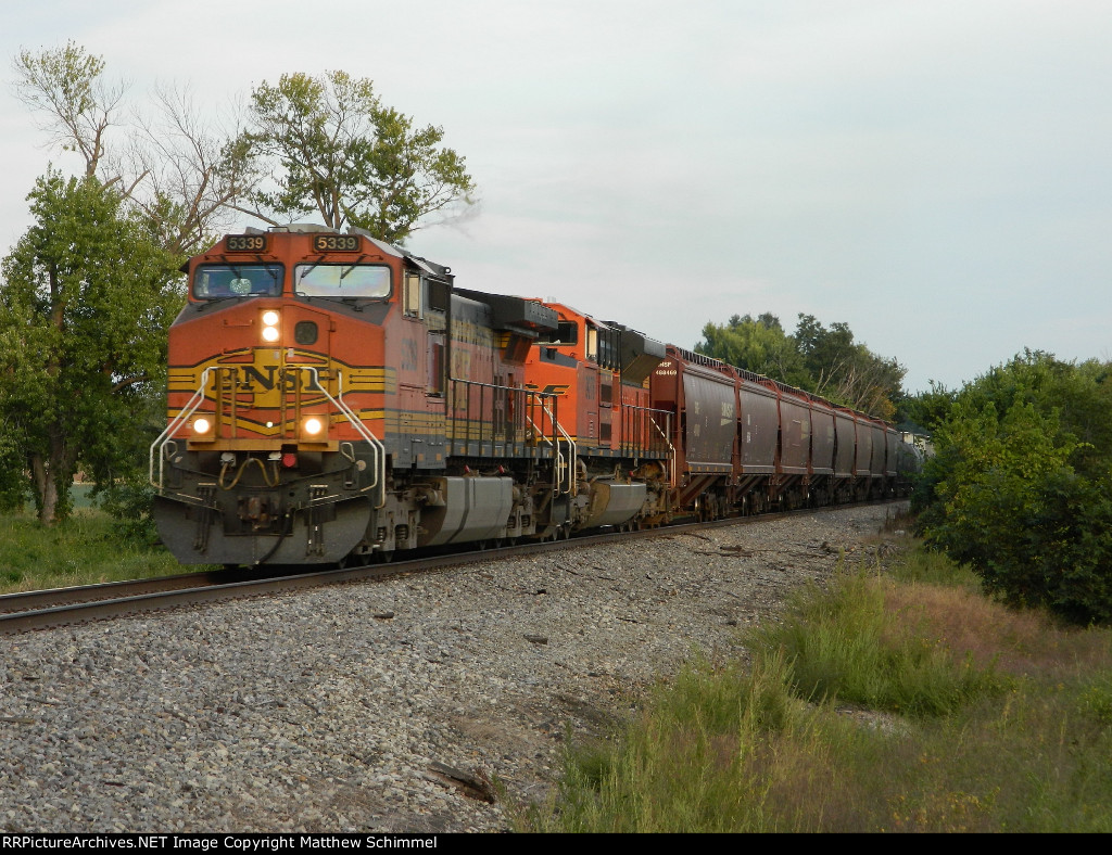 Elephant Style On The STL-WQM